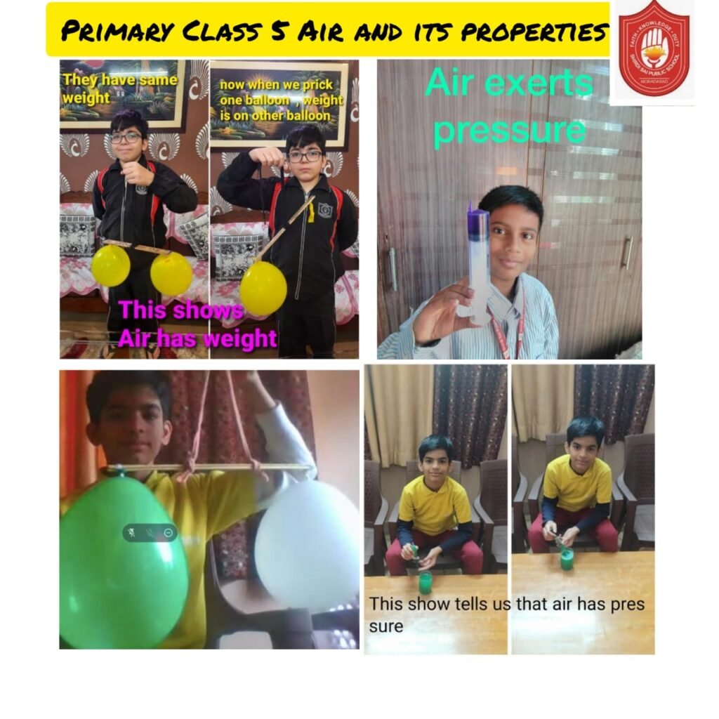 EVS: Competency Based Learning Activities – Shirdi Sai Public School ...